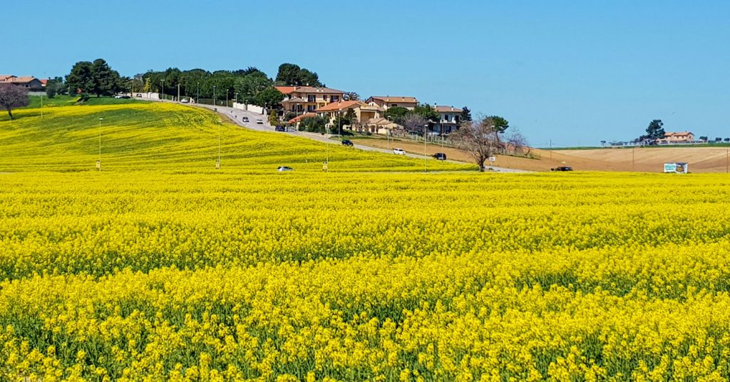 De mooiste autoroutes in Le Marche, weg van de gebaande paden